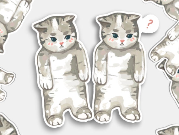 Confused Cat Stickers Pack of 2 Sticker Pack Laptop - Etsy Canada