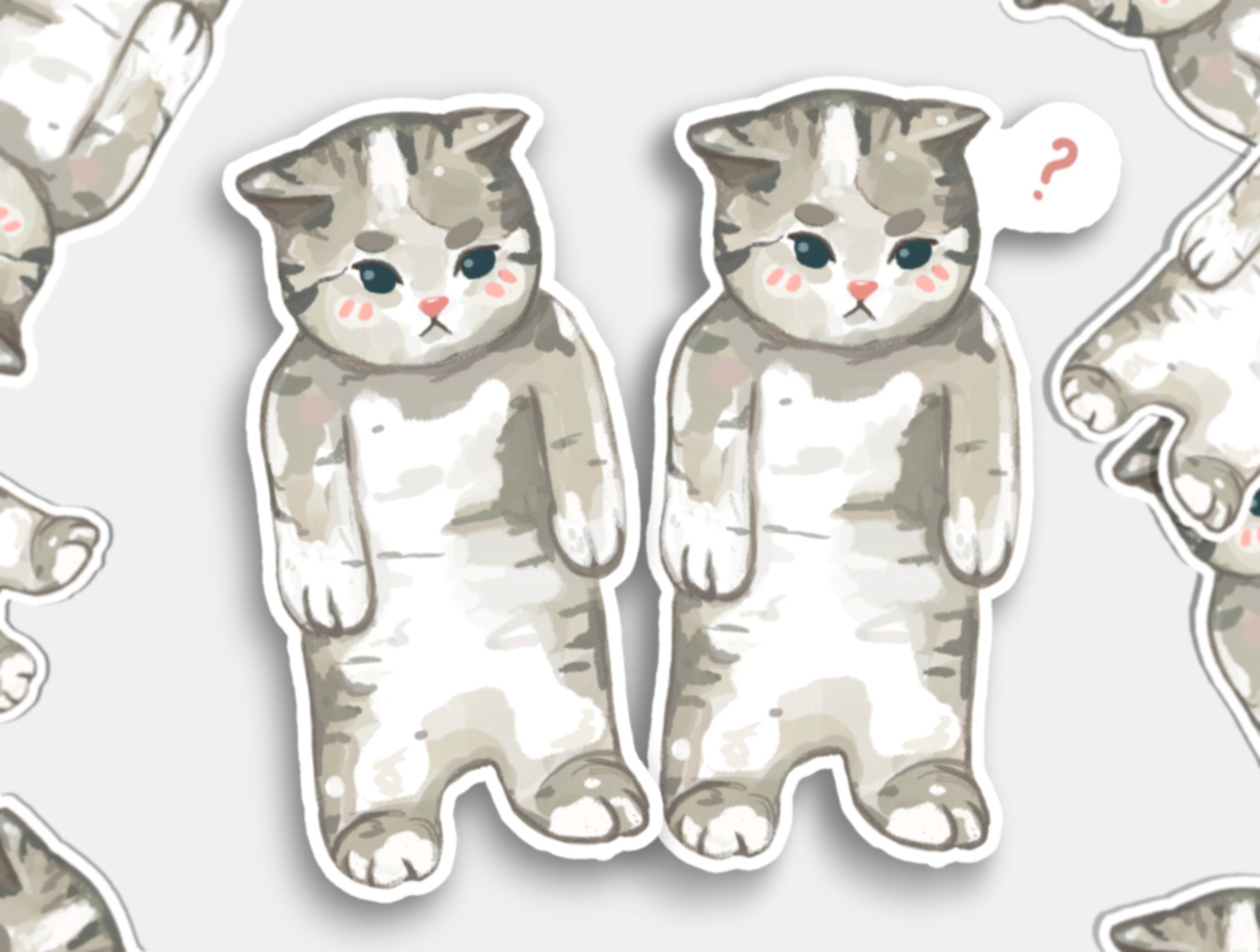Confused Cat Sticker Pack: Weatherproof Vinyl Laptop Decals - Etsy
