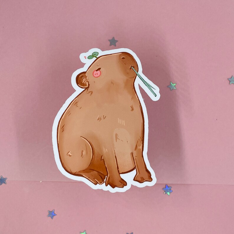 Capybara Stickers Sticker Pack Laptop Sticker Vinyl - Etsy