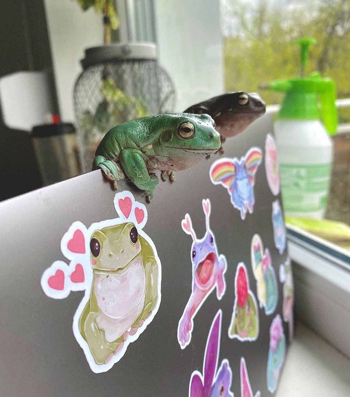 Frog Stickers Frog Buddies 4.0 Sticker Pack Laptop - Etsy