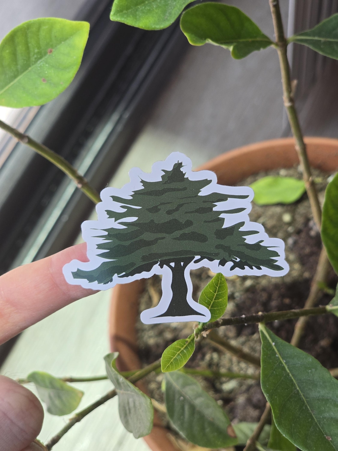 Lebanese Cedar Tree Sticker | Very Lebanese Sticker Pack | Vinyl ...