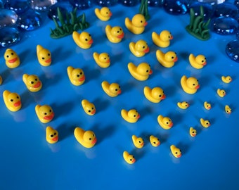 Miniature Ducks - Etsy