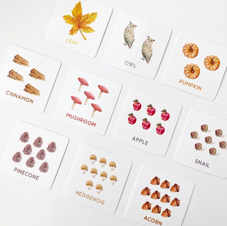 FALL COUNTING Preschool / Kindergarten Mini Flashcard Kit | Etsy