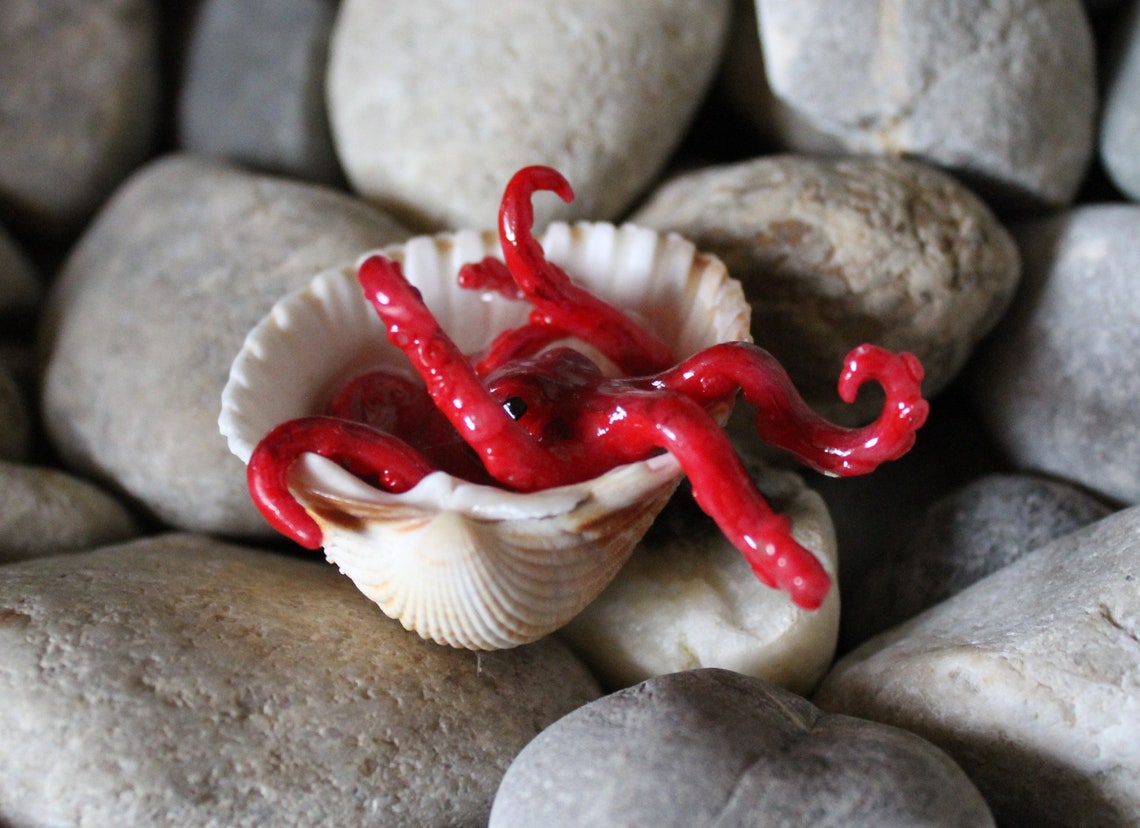 Oktopus versteckt sich in Muschel | Etsy