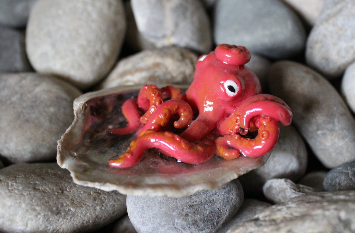 Oktopus versteckt sich in Muschel | Etsy