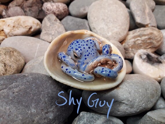 Oktopus versteckt sich in Muschel - Etsy.de