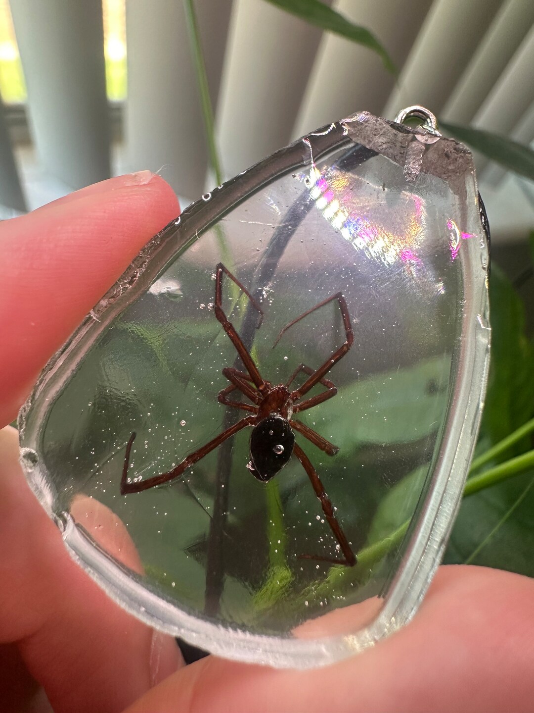REAL Black Widow Spider Keychain Pendant - Etsy