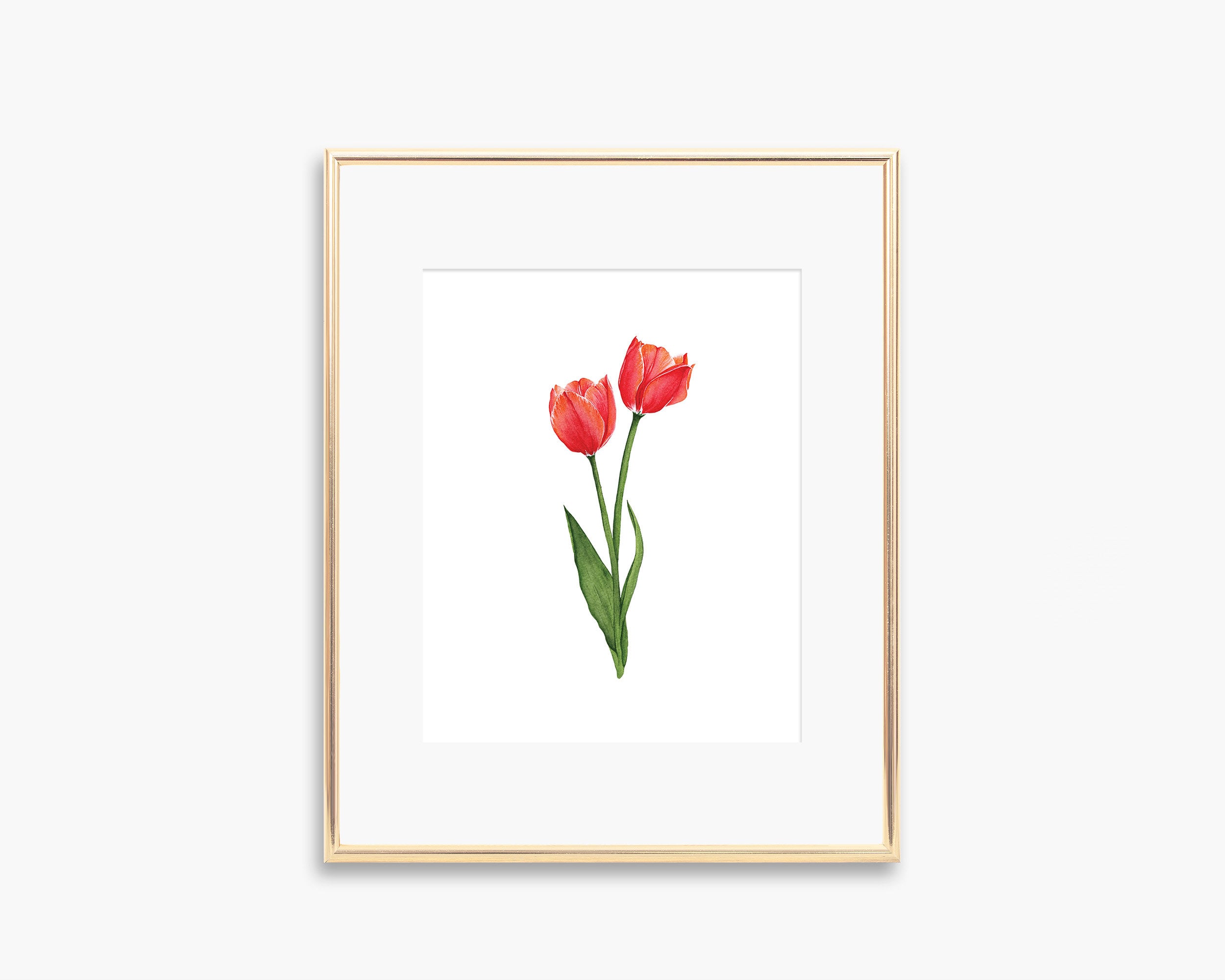 Tulip Art Print | Watercolor Art | Watercolor Tulip Art Print ...