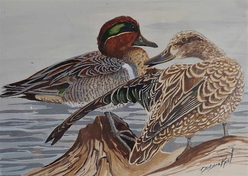 Waterfowl and Turkey - Original Art - Etsy