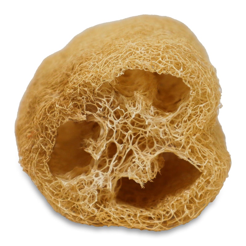 Loofah Sponge - Etsy