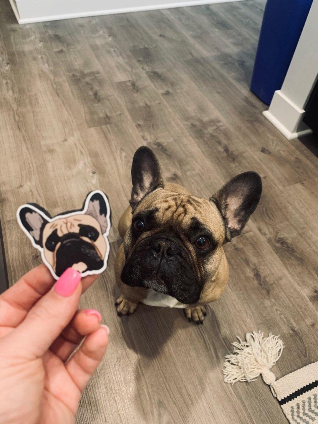 Custom Pet Magnets/dog Magnets/your Pet as a Magnet - Etsy
