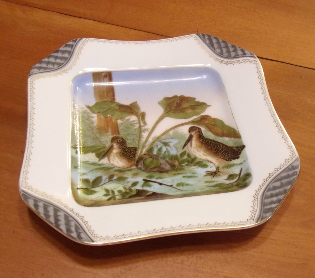 Antique Ca. 1900 Marx & Gutherz Carlsbad Austria Bird Plate 7 3/4 ...