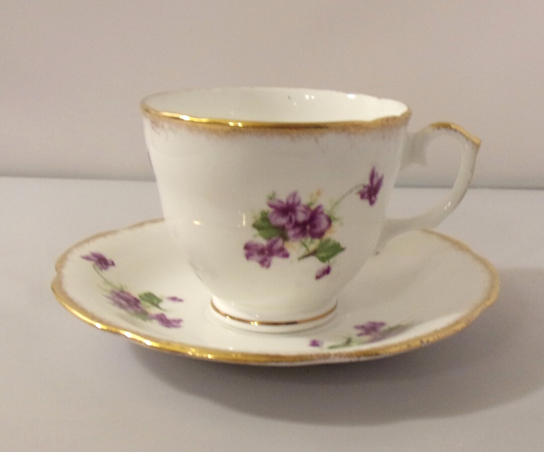 Royal Stuart Spencer Stevenson England Cup and Saucer With Violets Gilt ...