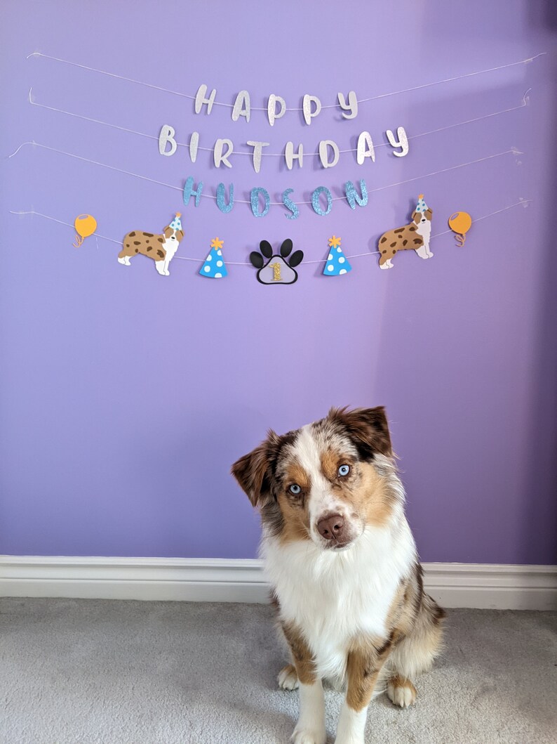 Australian Shepherd Birthday Aussie Birthday Dog Birthday - Etsy