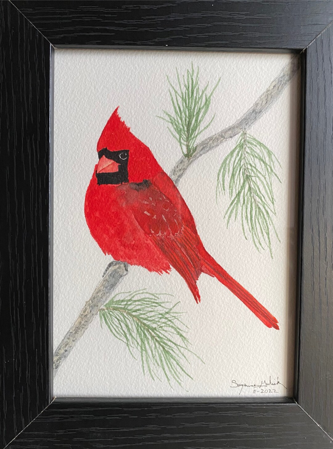 Sweet Male Cardinal on Pine Branches 5x7 Original - Etsy