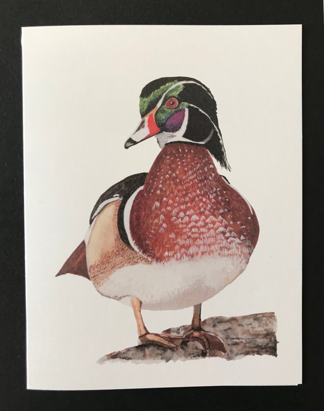 Wood Duck Notecards Boxed Set of 10 Cards and Envelopes 4x5 1/2 Top ...