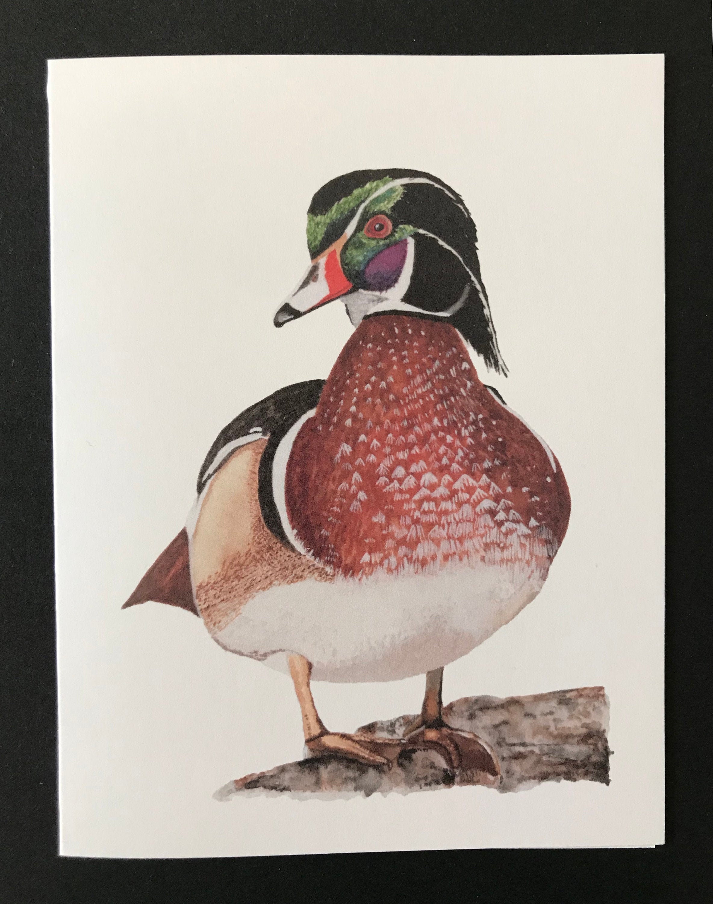 Wood Duck Notecards Boxed Set of 10 cards and envelopes 4x5 | Etsy