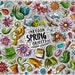 SPRING Vector Clipart, Season Cartoon PNG Set, Springtime Doodles Clip ...