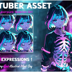 Cyberpunk Skeleton Girl Pngtuber Model: 5 Expressions (veadotube) - Etsy
