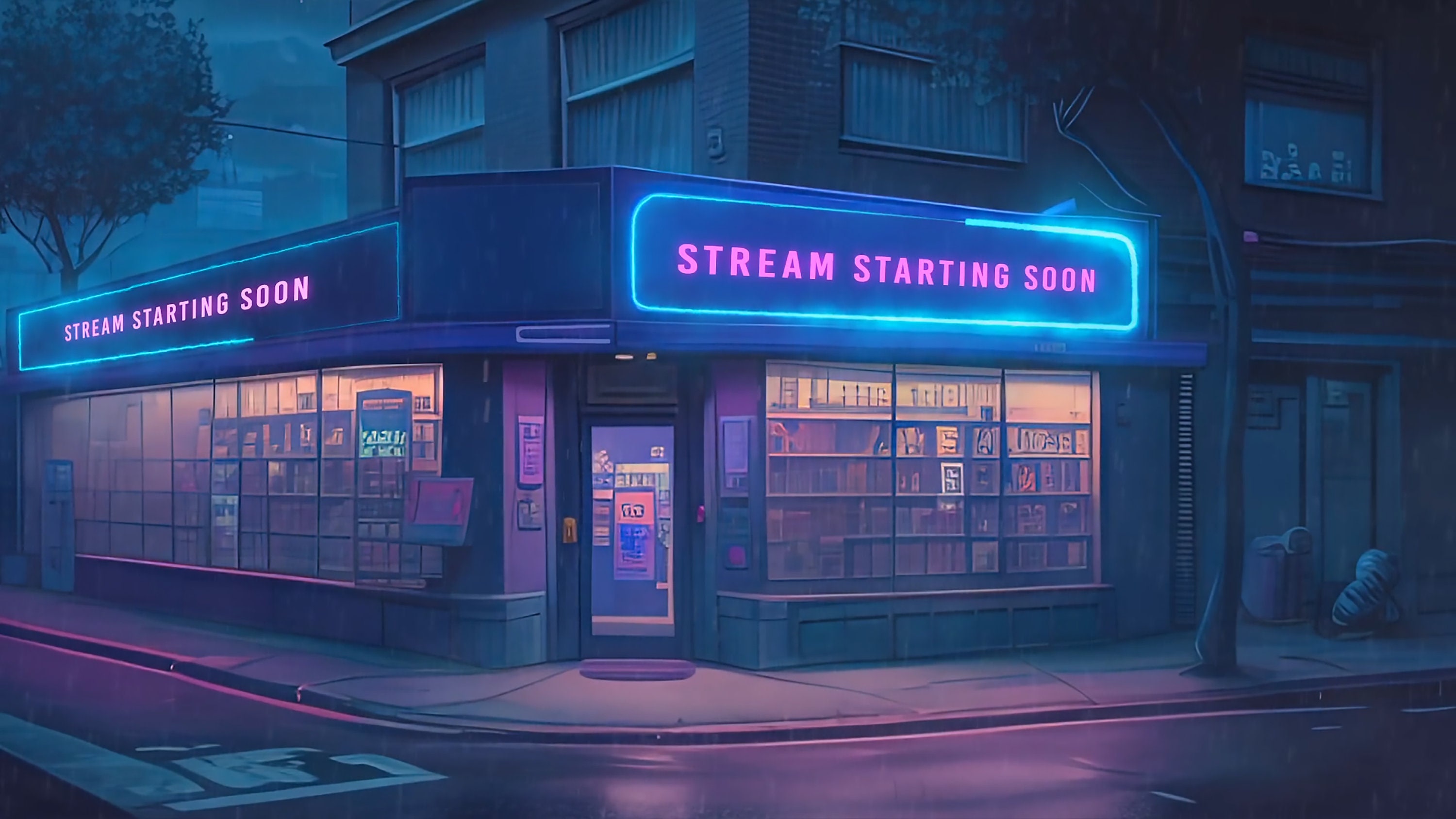 Animated Starting Soon / Twitch /lofi Shop Overlays /aesthetic - Etsy UK