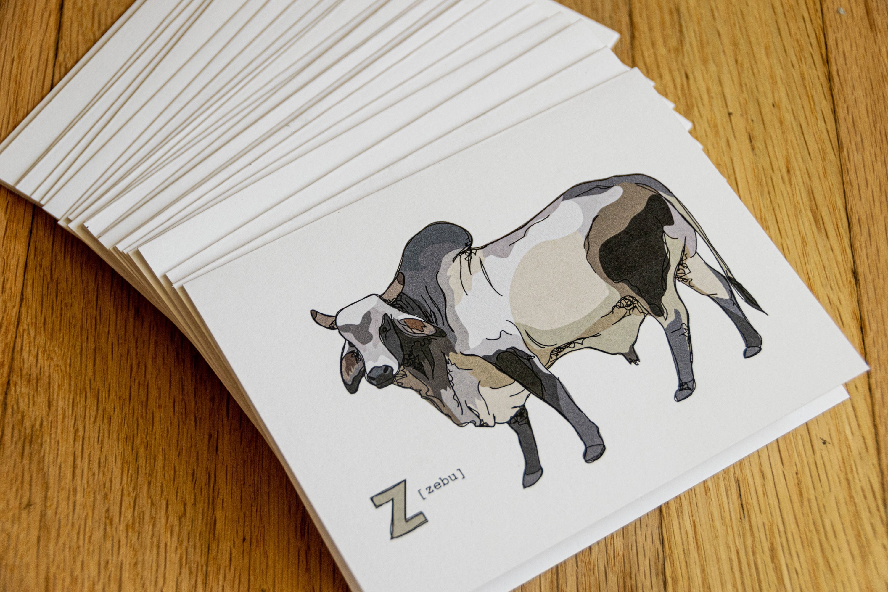 Funky Animal Alphabet Card: Zebu | Etsy
