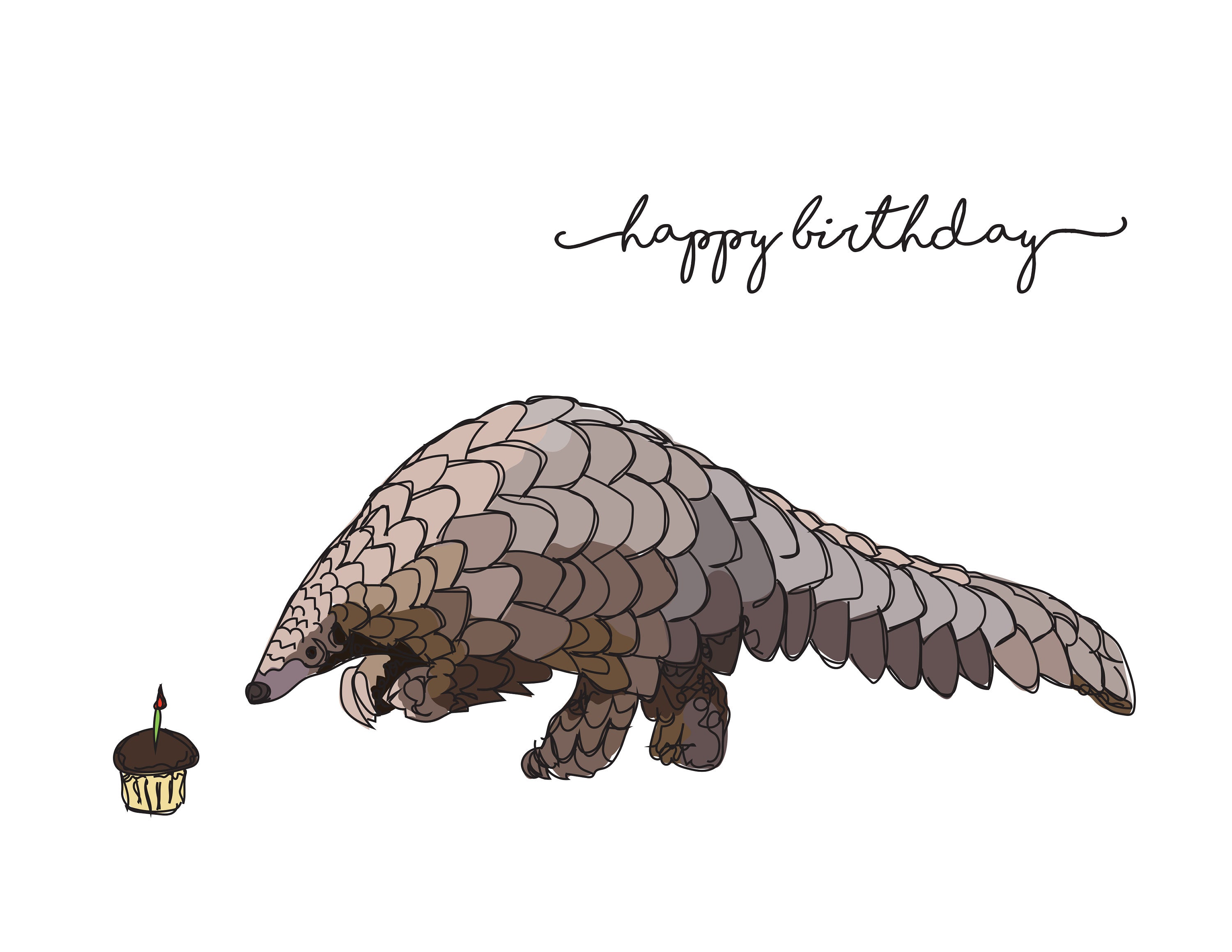 Funky Animal Birthday Card: Pangolin - Etsy