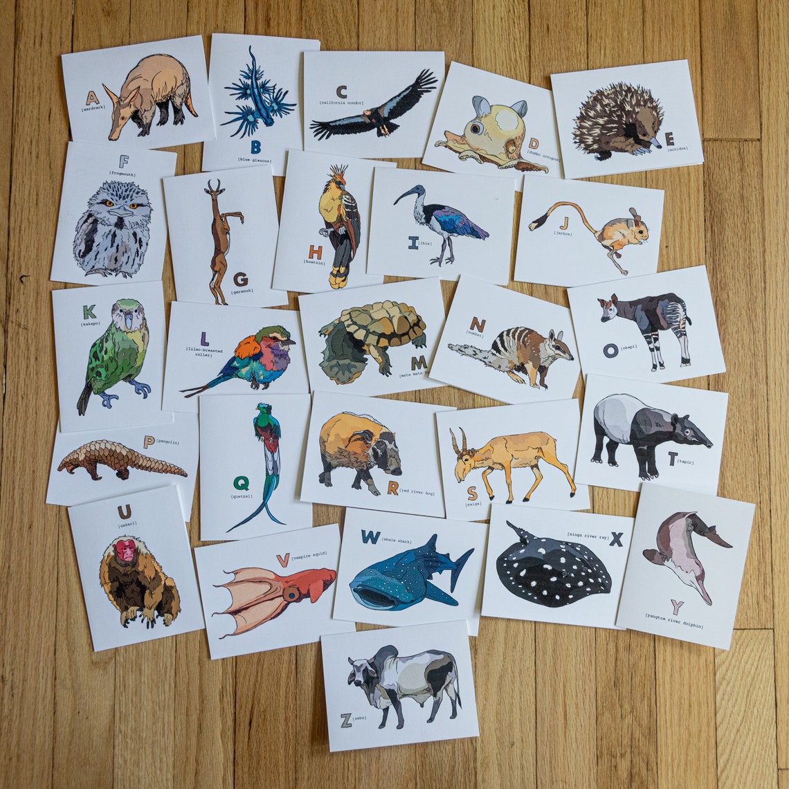 Funky Animal Alphabet Card: Zebu - Etsy