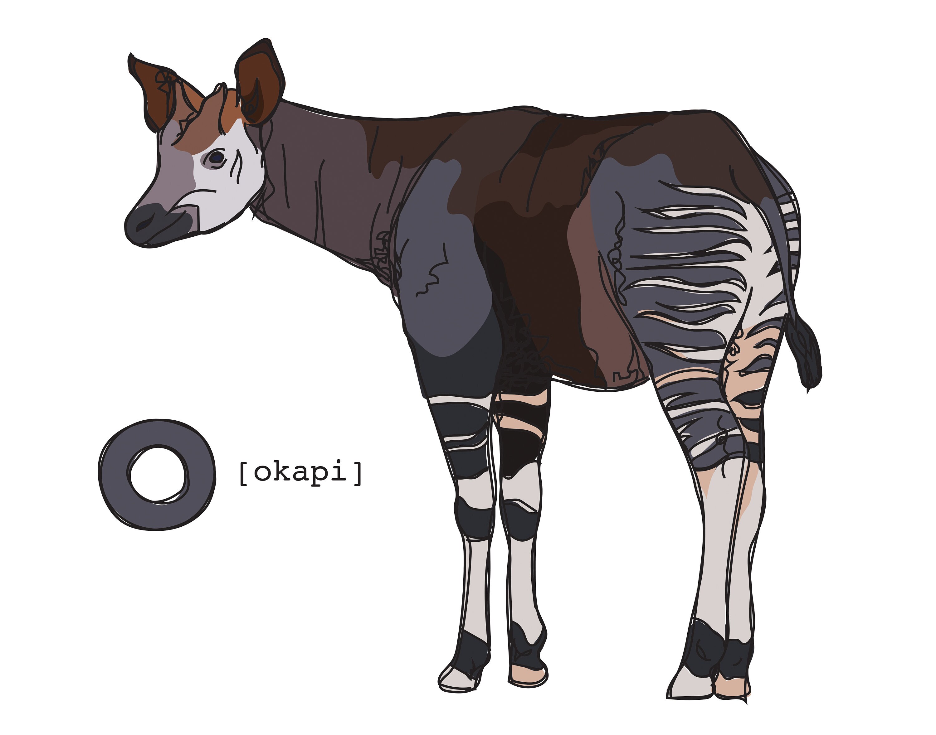 Funky Animal Alphabet Karte: Okapi - Etsy.de