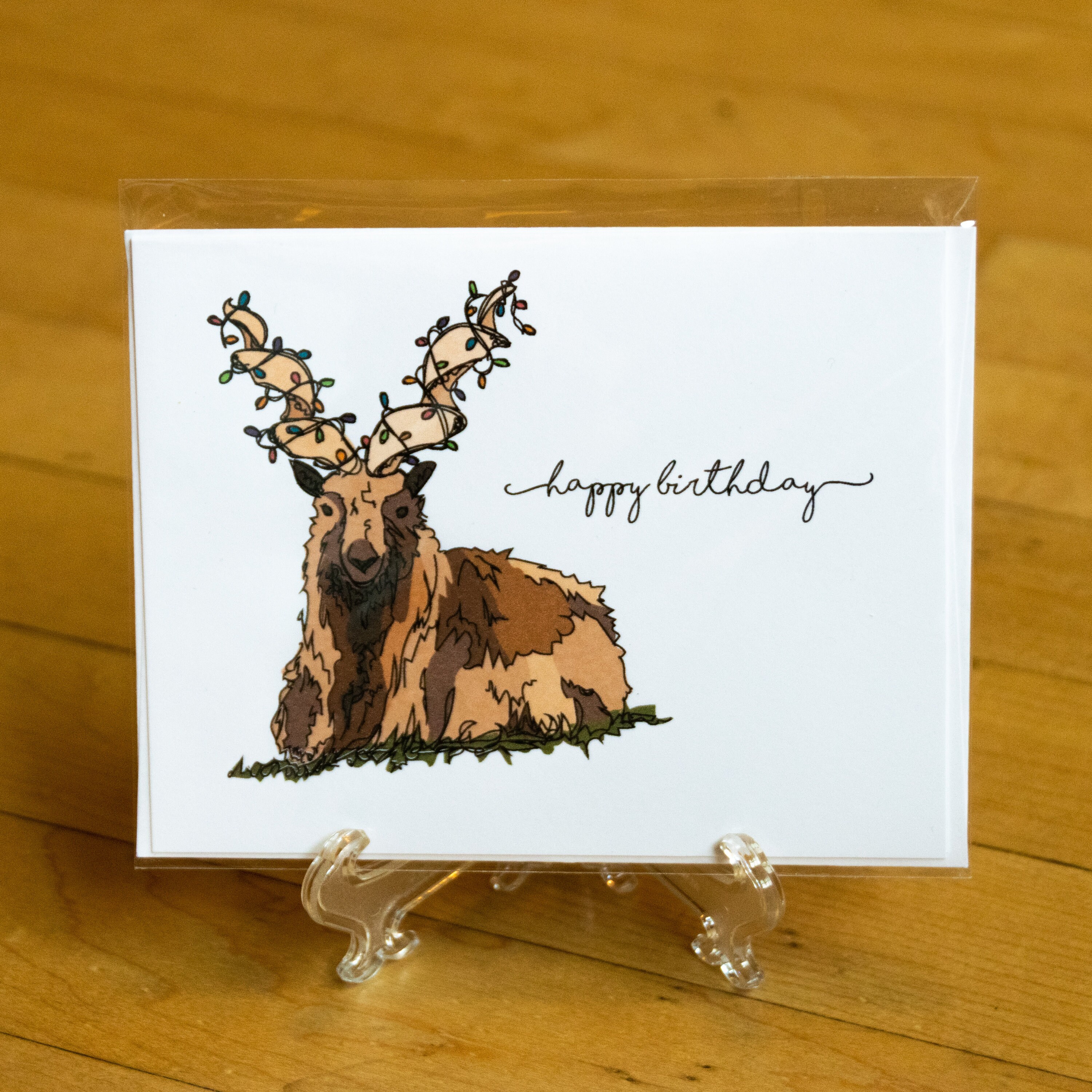 Funky Animal Birthday Card Set: Kiwi Version 15 Cards 5 | Etsy