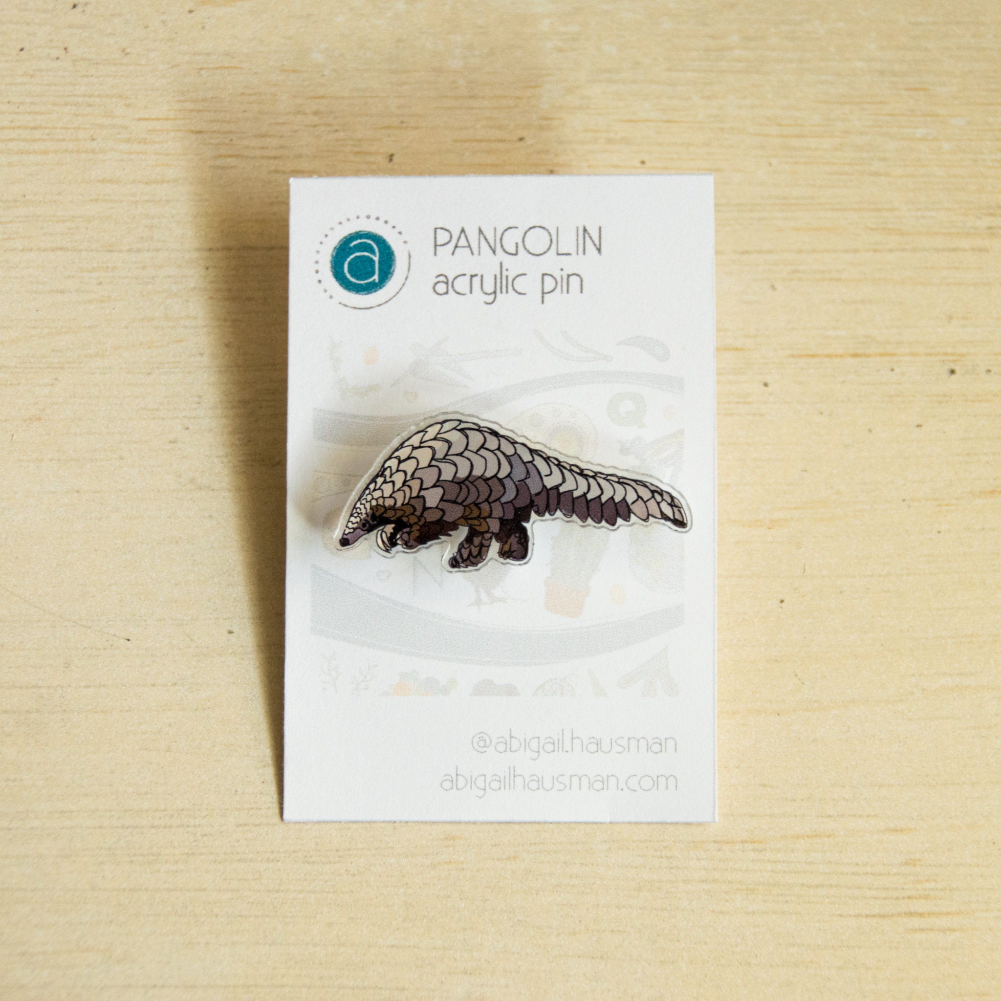 Pangolin Acrylic Pin | Etsy