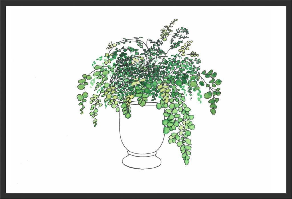 Botanical Poster Plant Drawings Gifts for Gardeners - Etsy