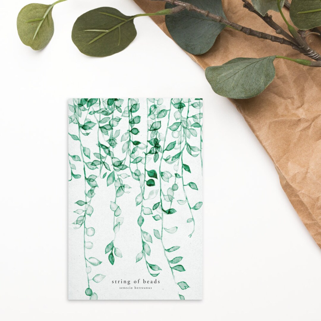 Pack of Plant Postcards String of Beads Cards Postcard - Etsy