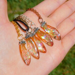Holographic Cicada Wing Necklace, Ethically Sourced Insect Jewelry - Etsy