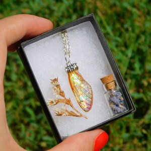 Holographic Cicada Wing Necklace, Ethically Sourced Insect Jewelry - Etsy