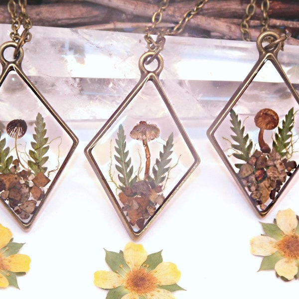 Terrarium Necklace - Etsy