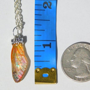 Holographic Cicada Wing Necklace, Ethically Sourced Insect Jewelry - Etsy
