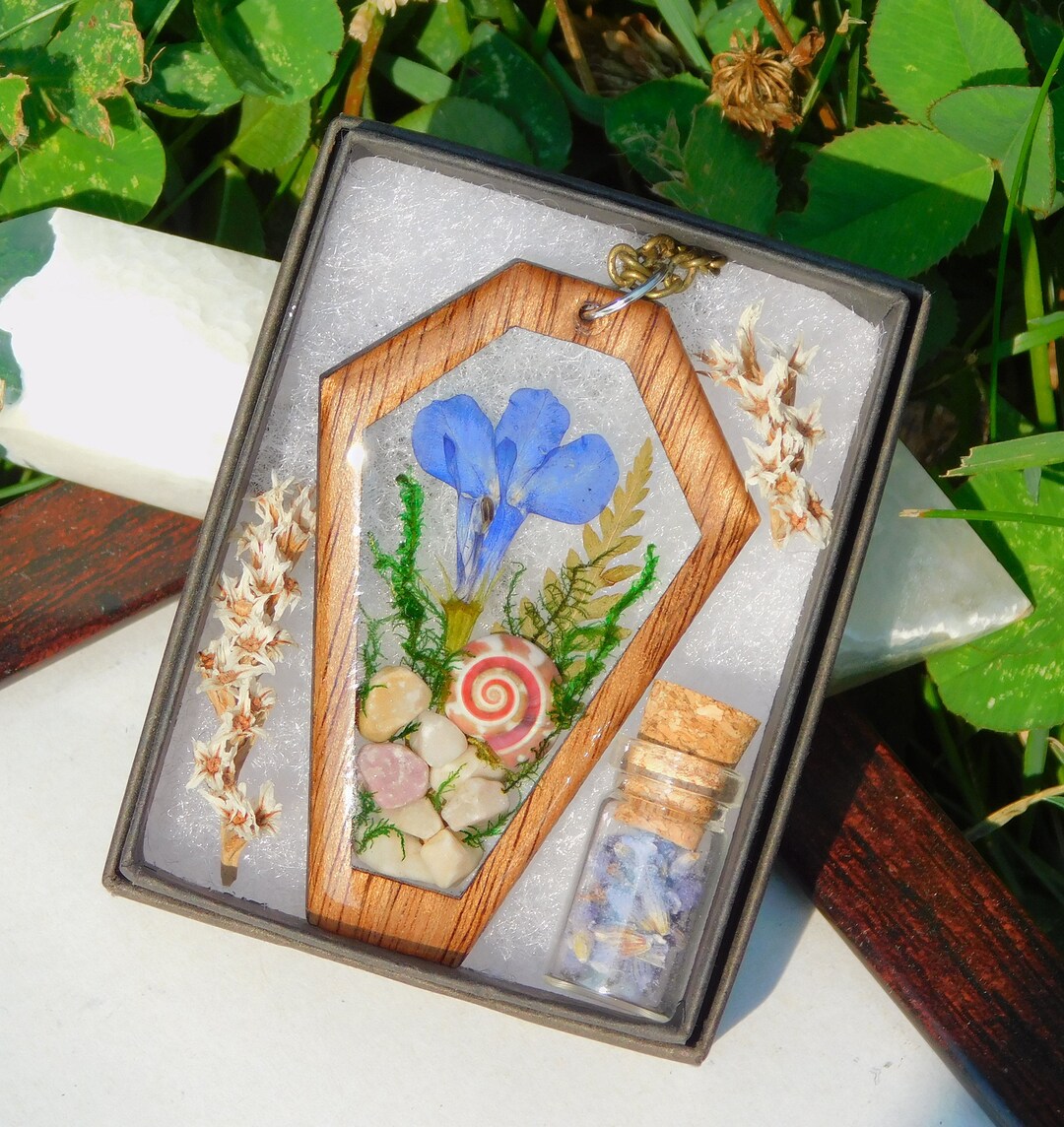 Pressed Flower and Snail Shell Coffin Necklace, Walnut Plant Necklace ...
