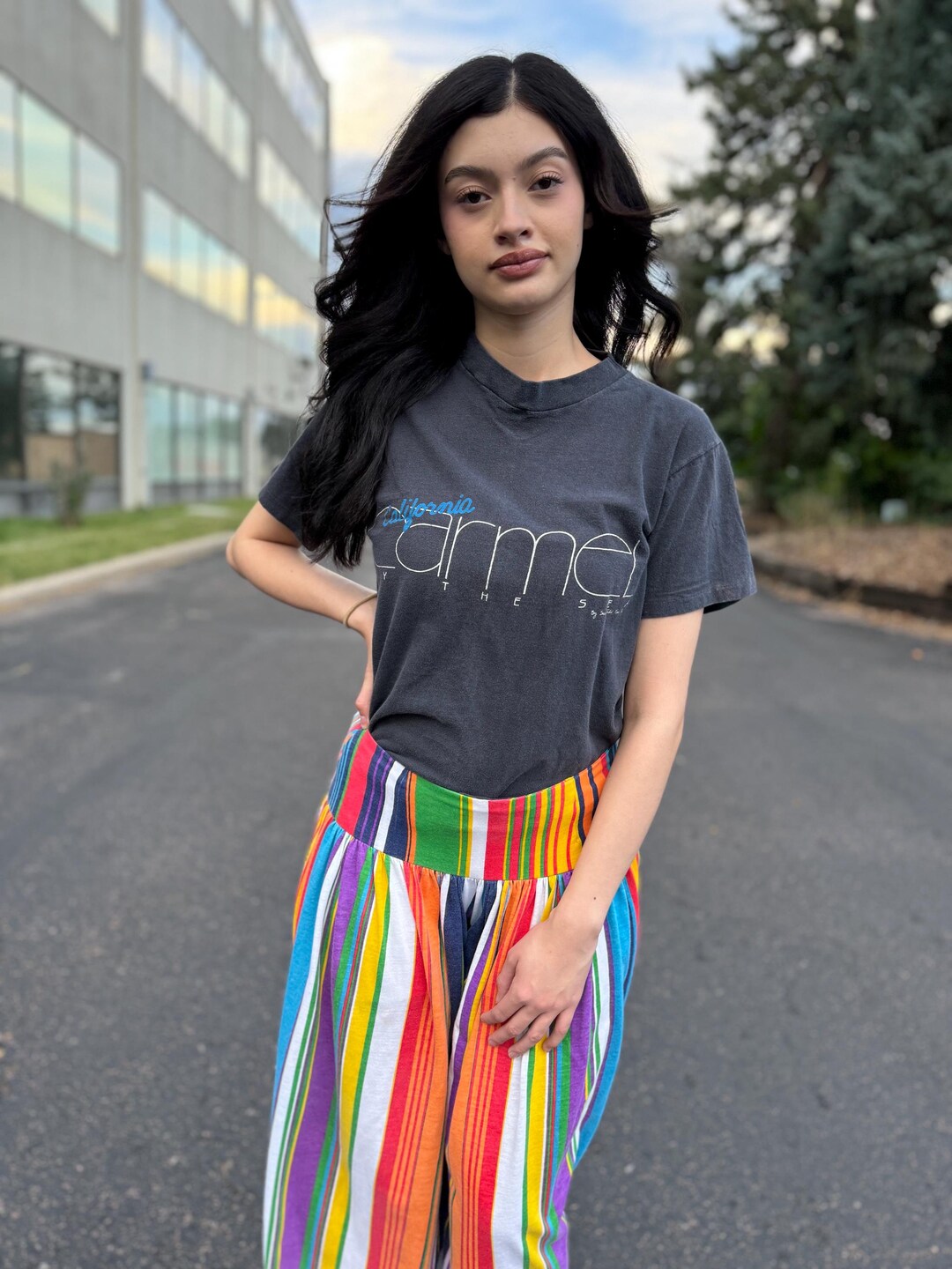 Vintage 1980s Single Stitch Faded Burner Thrashed Carmel California ...