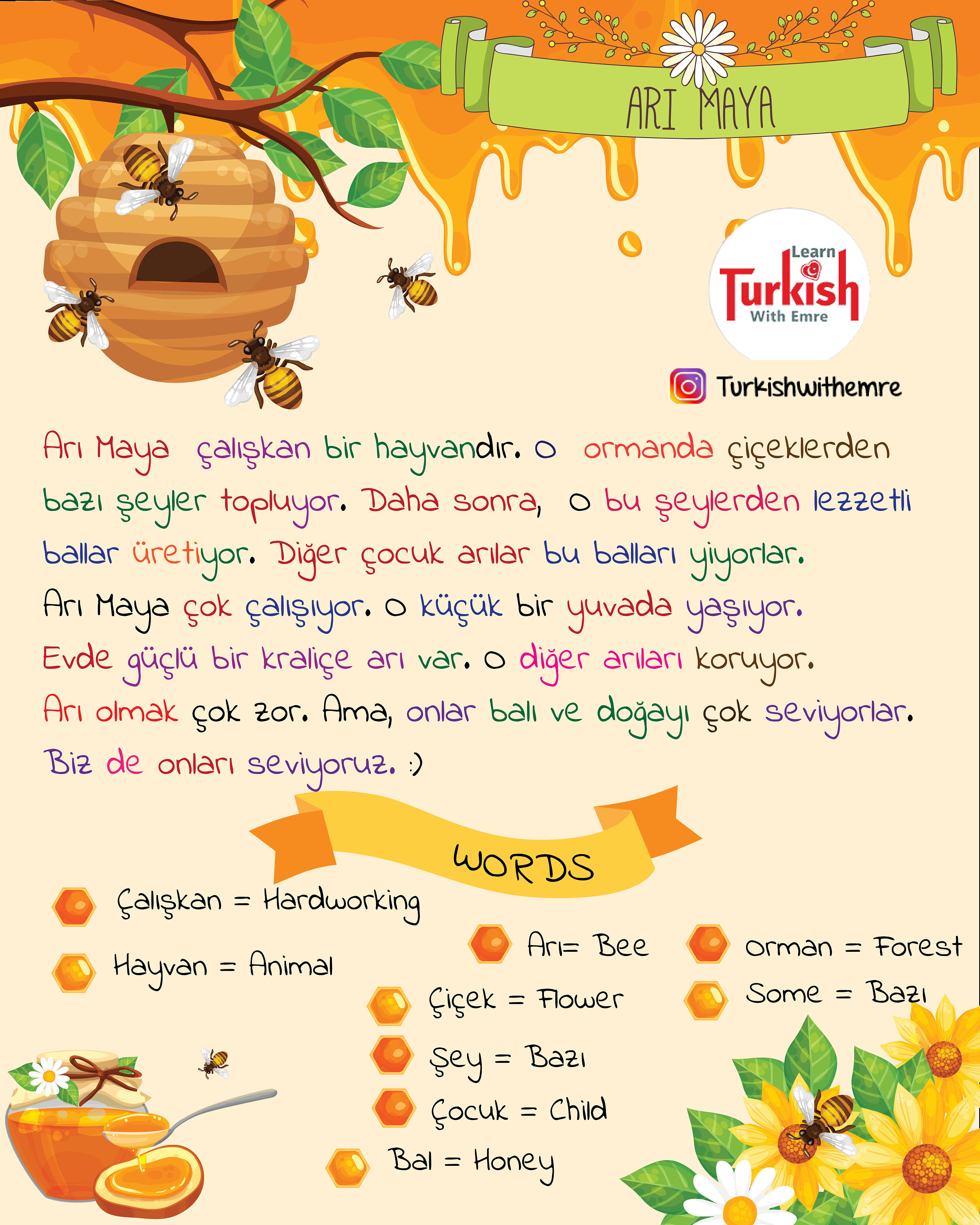 Turkish Reading Book A1 (PDF) - Etsy