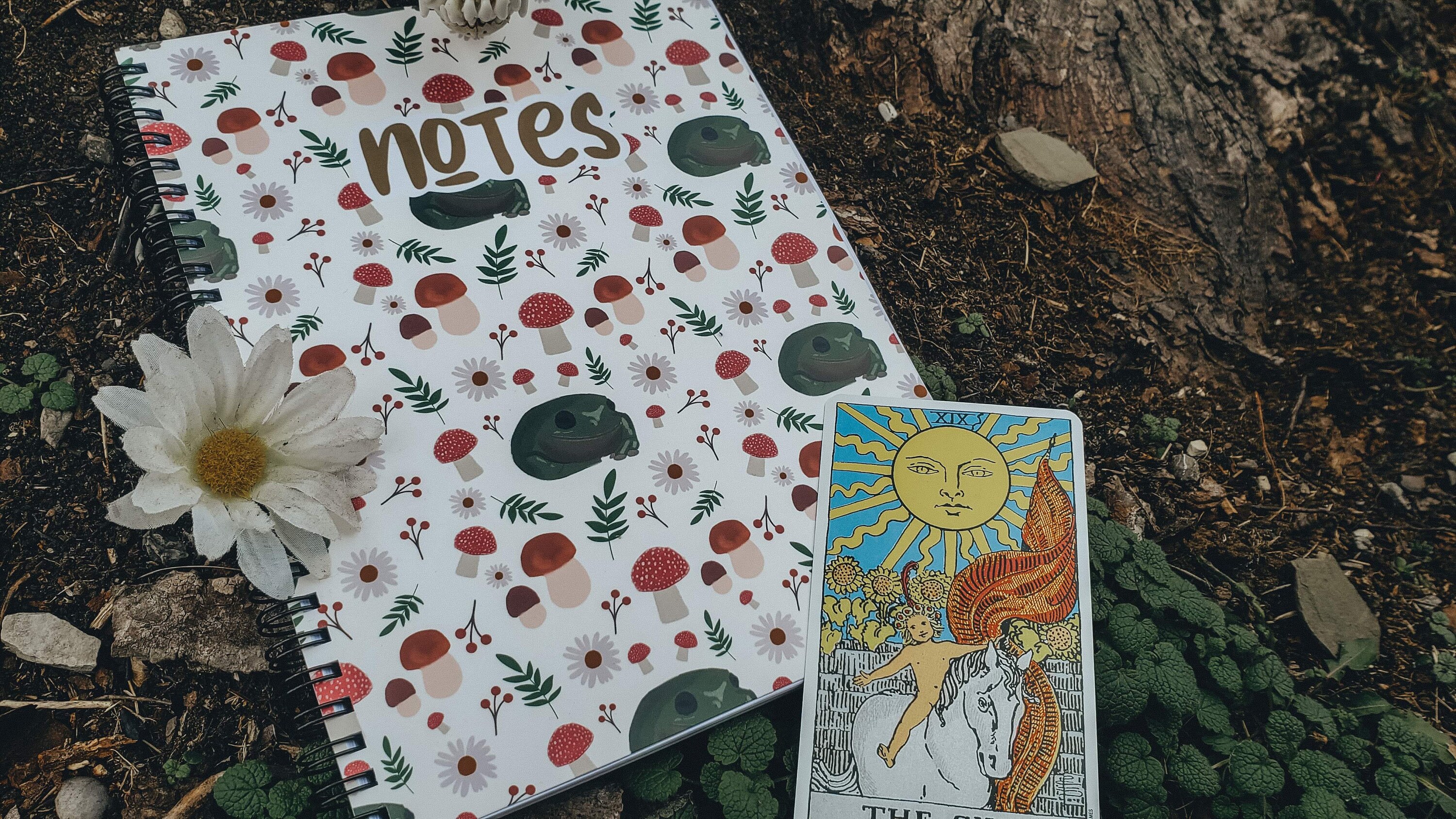 Cottage Core Notebook Frog Notebook Nature Notebook - Etsy