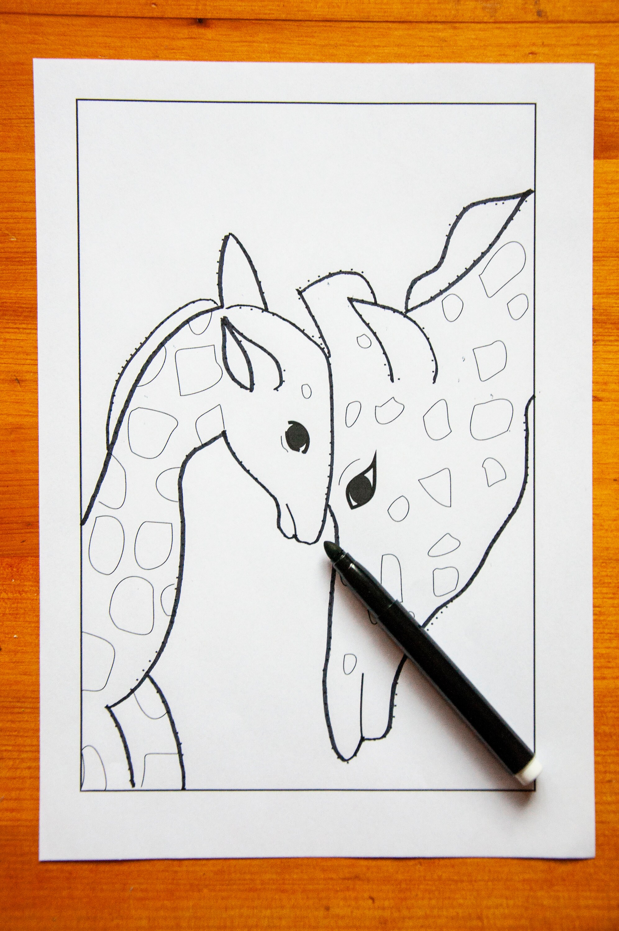 Drawing and Coloring Book for Kids - Etsy