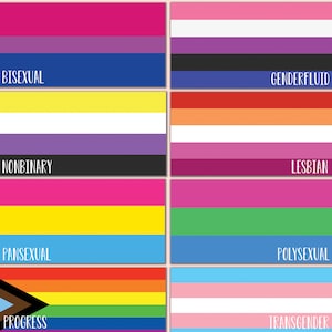 CLEARANCE ABDL Premium Diaper Tapes “pride Flags" - Etsy