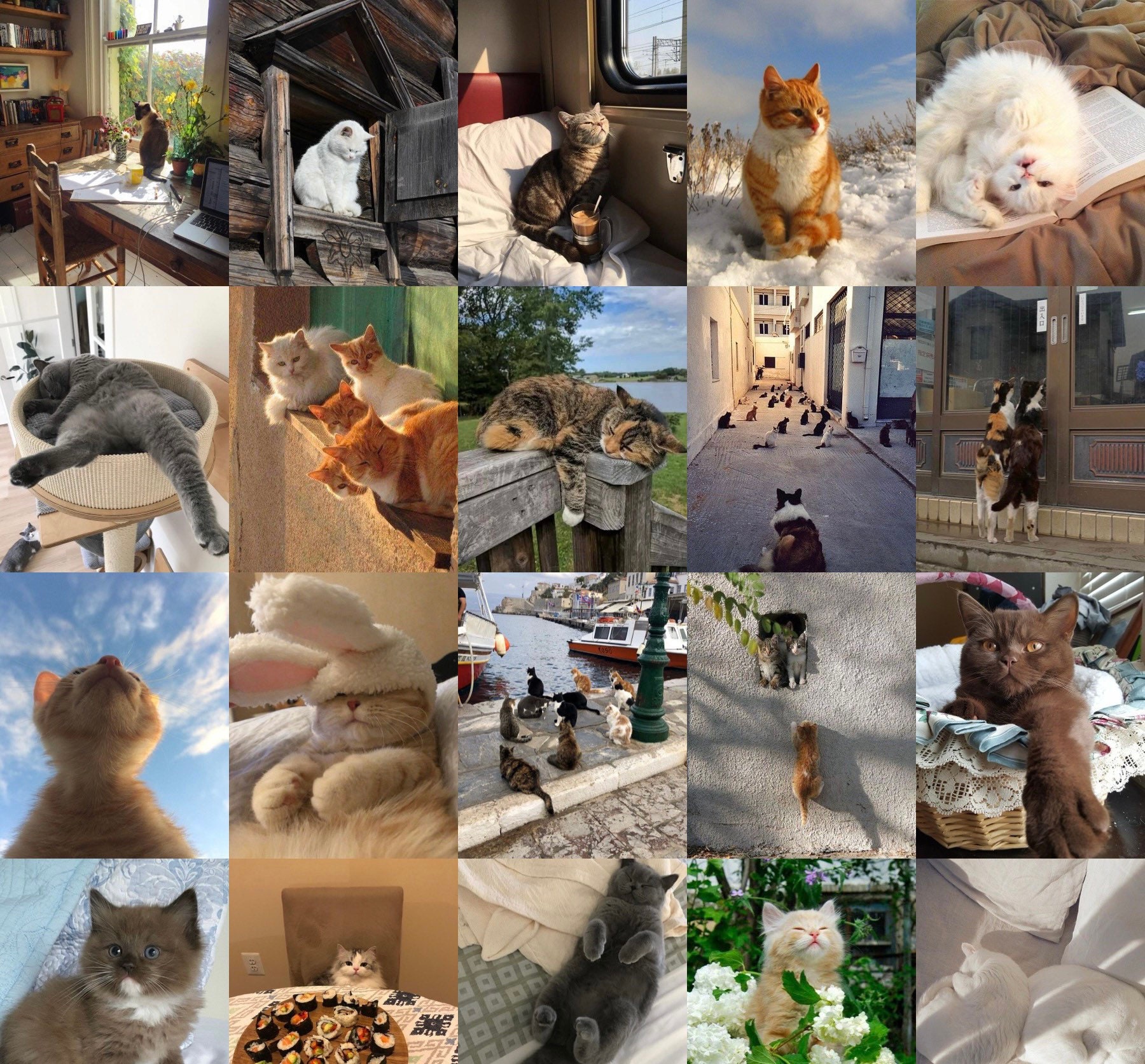 CATS Wall Collage Kit 50/85/125/165/200 Pcs VSCO Trendy - Etsy