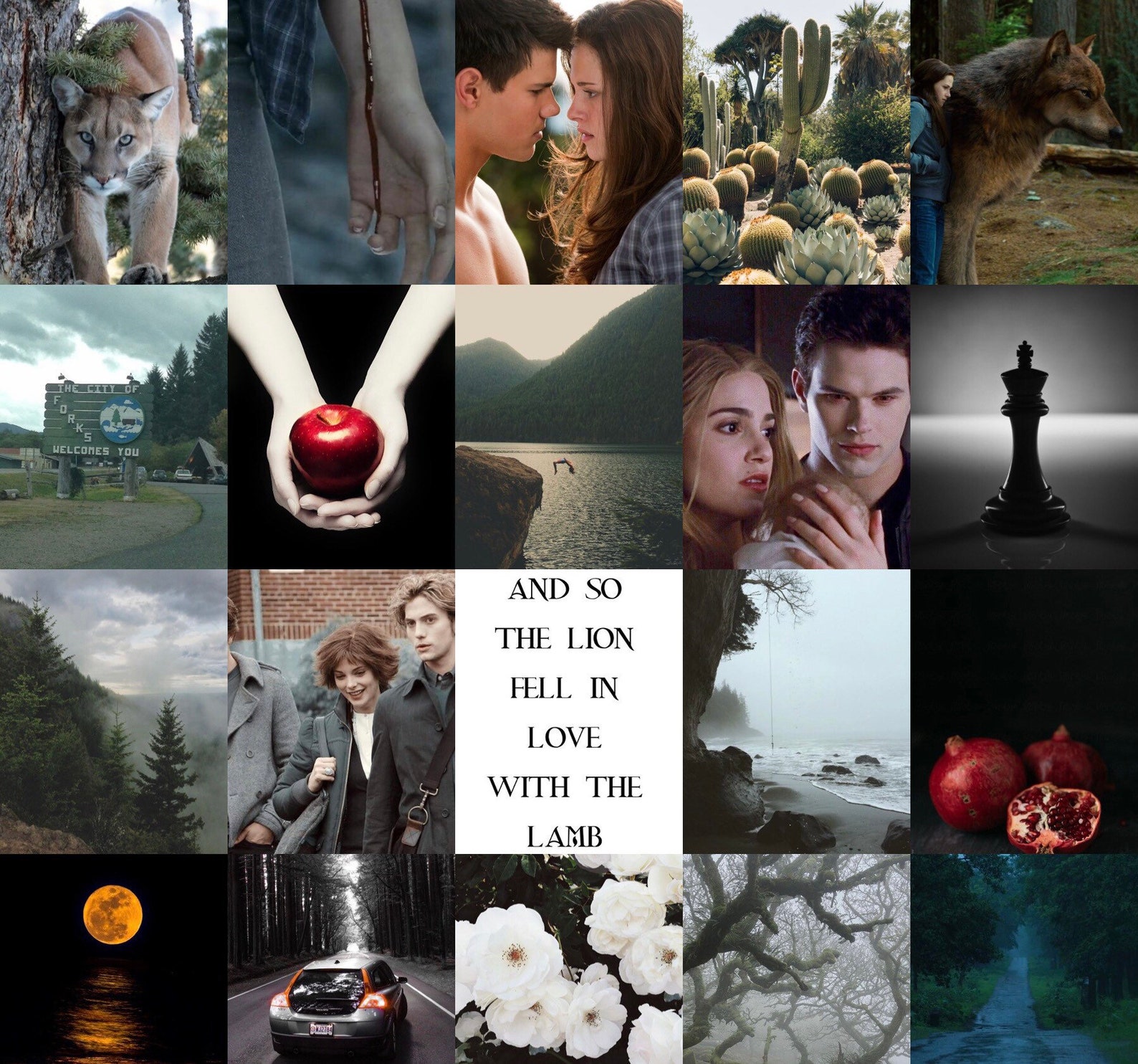 THE TWILIGHT SAGA Wall Collage Kit 50/85/125 Pcs Trendy - Etsy