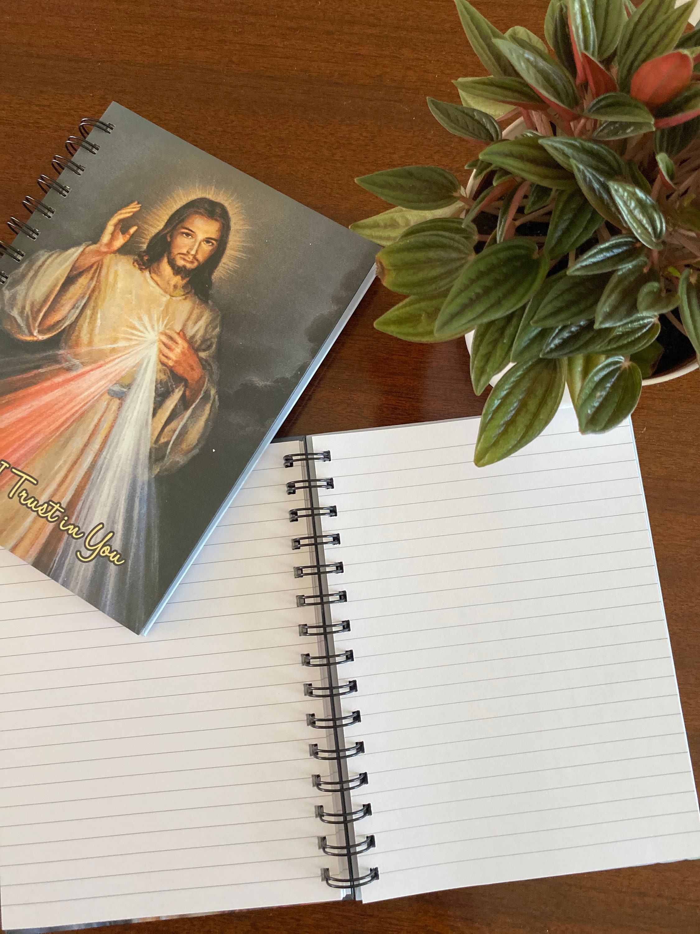 Jesus I Trust in You Coiled Journal Christian Notebook Divine Mercy ...