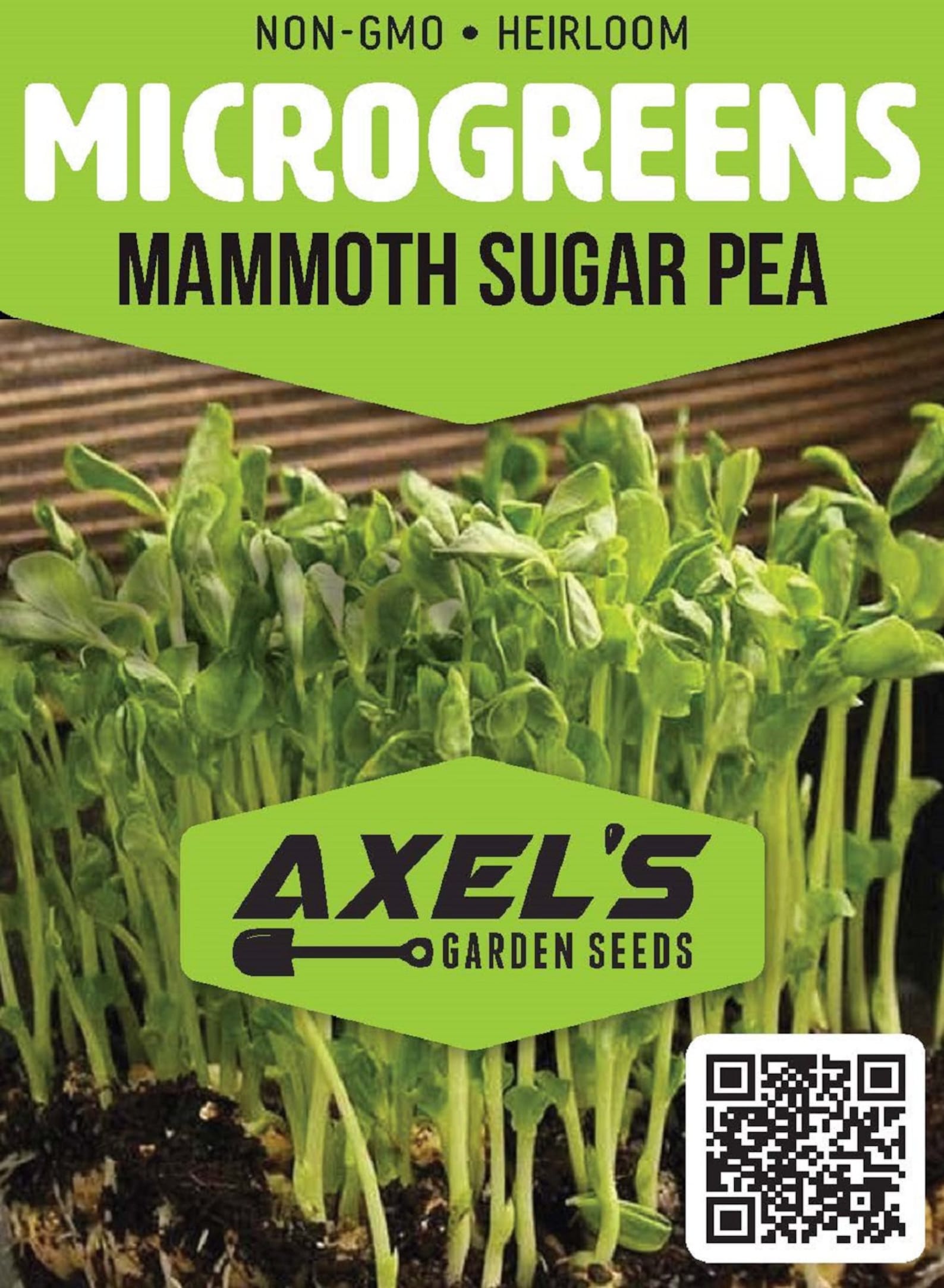 Mammoth Snow Sugar Pea MICROGREEN Seeds | Non-gmo | Heirloom | Fresh ...