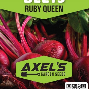 Ruby Queen Beet Seeds | Non-gmo | Heirloom | Fresh Gardening Seeds - Etsy