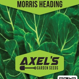 Morris Heading Collard Seeds | Non-gmo | Heirloom | Fresh Garden Seeds ...