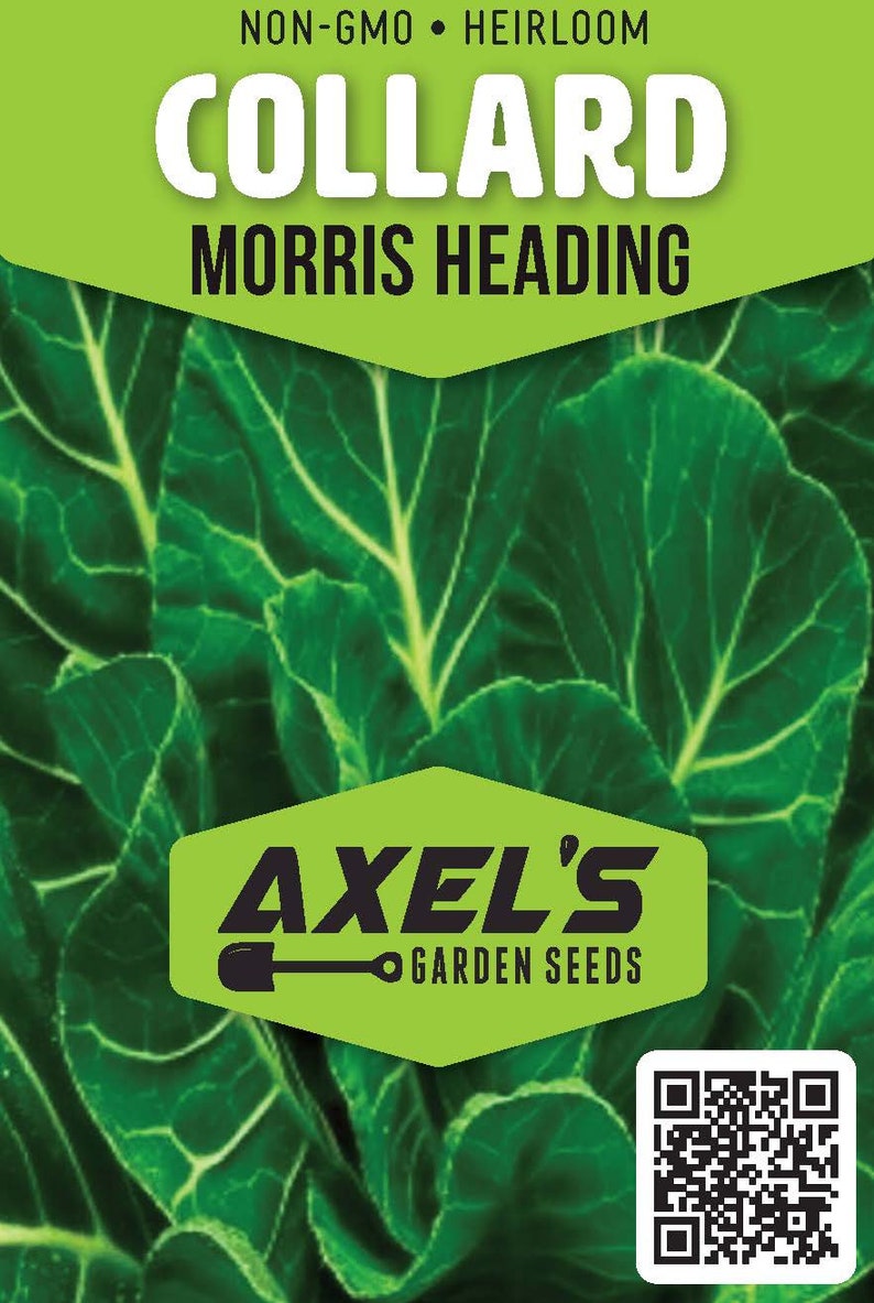 Morris Heading Collard Seeds | Non-gmo | Heirloom | Fresh Garden Seeds ...