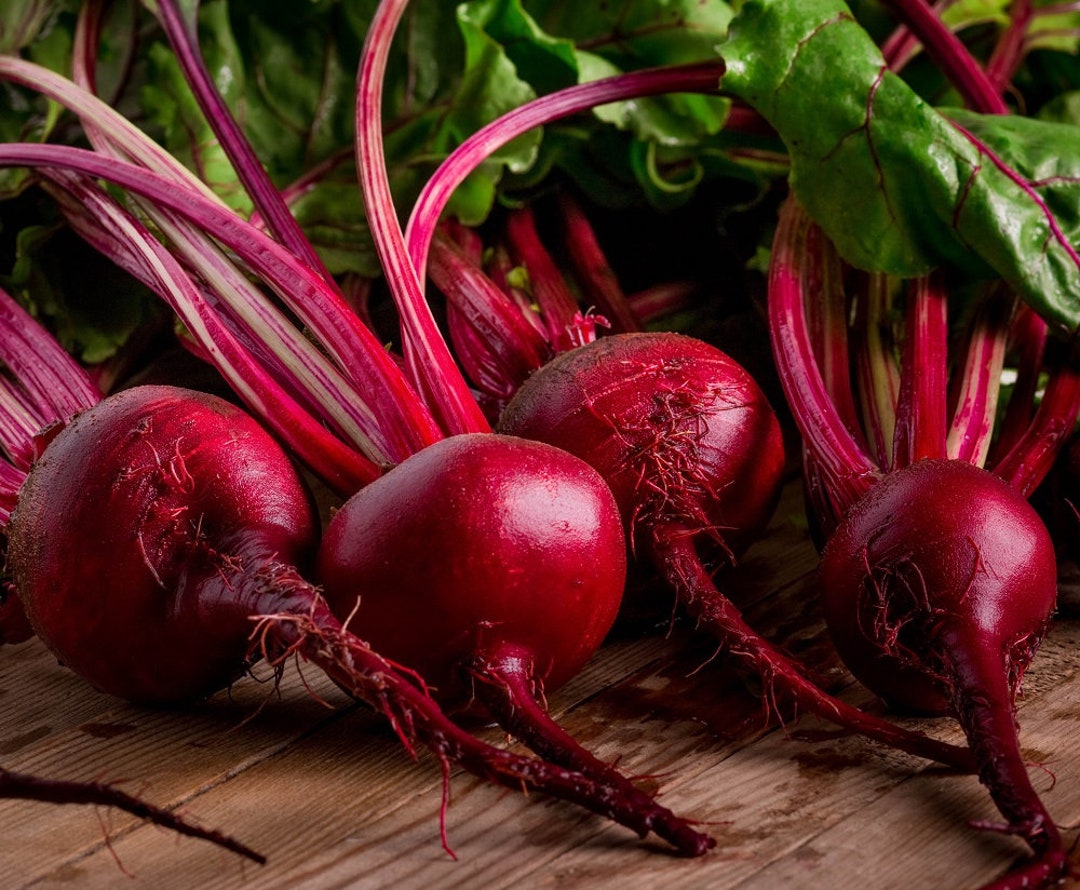 Ruby Queen Beet Seeds | Non-gmo | Heirloom | Fresh Gardening Seeds - Etsy